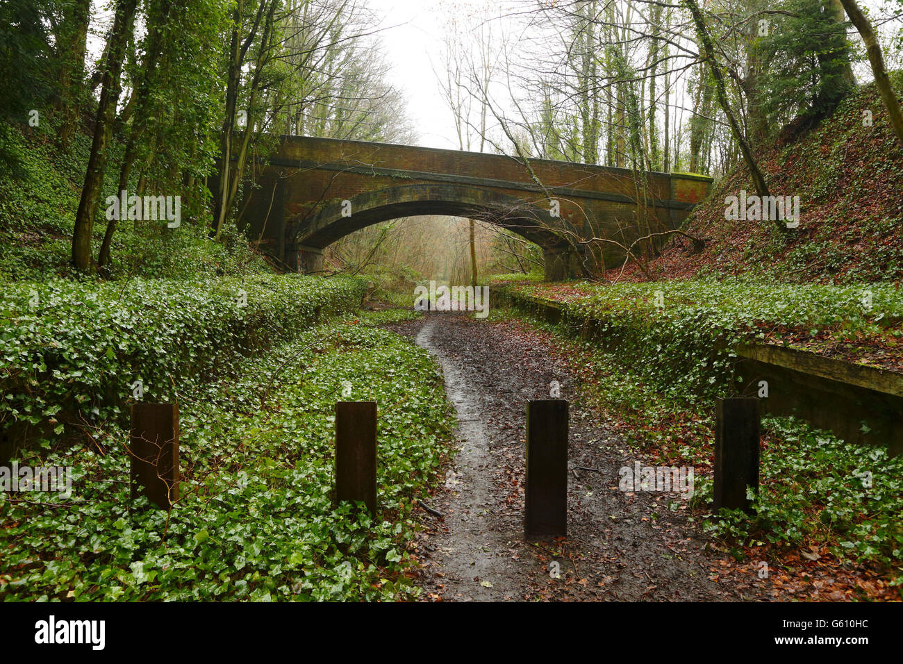 Meon valley railway hi-res stock photography and images - Alamy