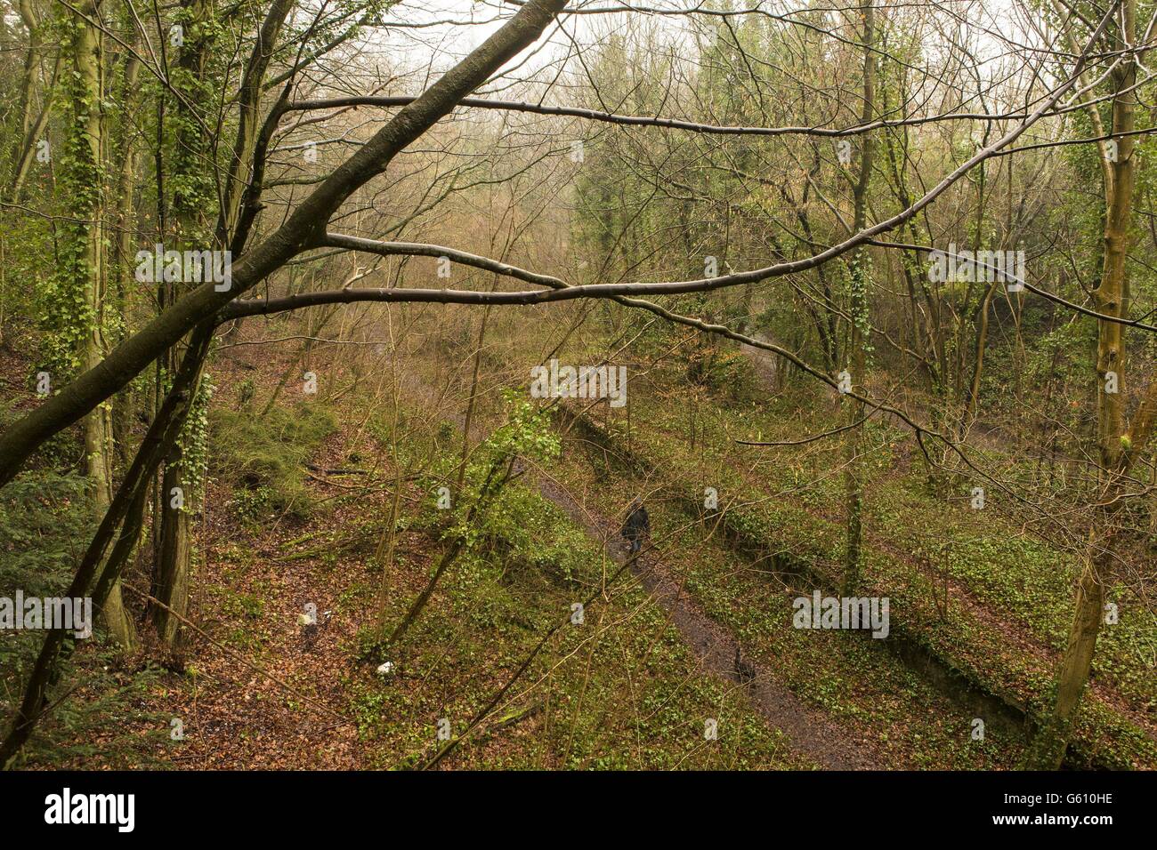 West Meon High Resolution Stock Photography and Images - Alamy