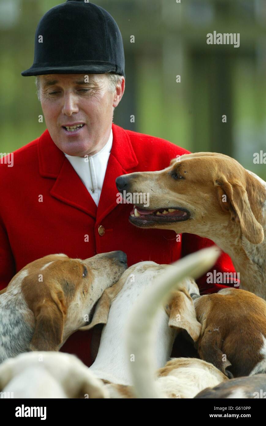 The first ever parade of one thousand hounds at the July Racecourse ...