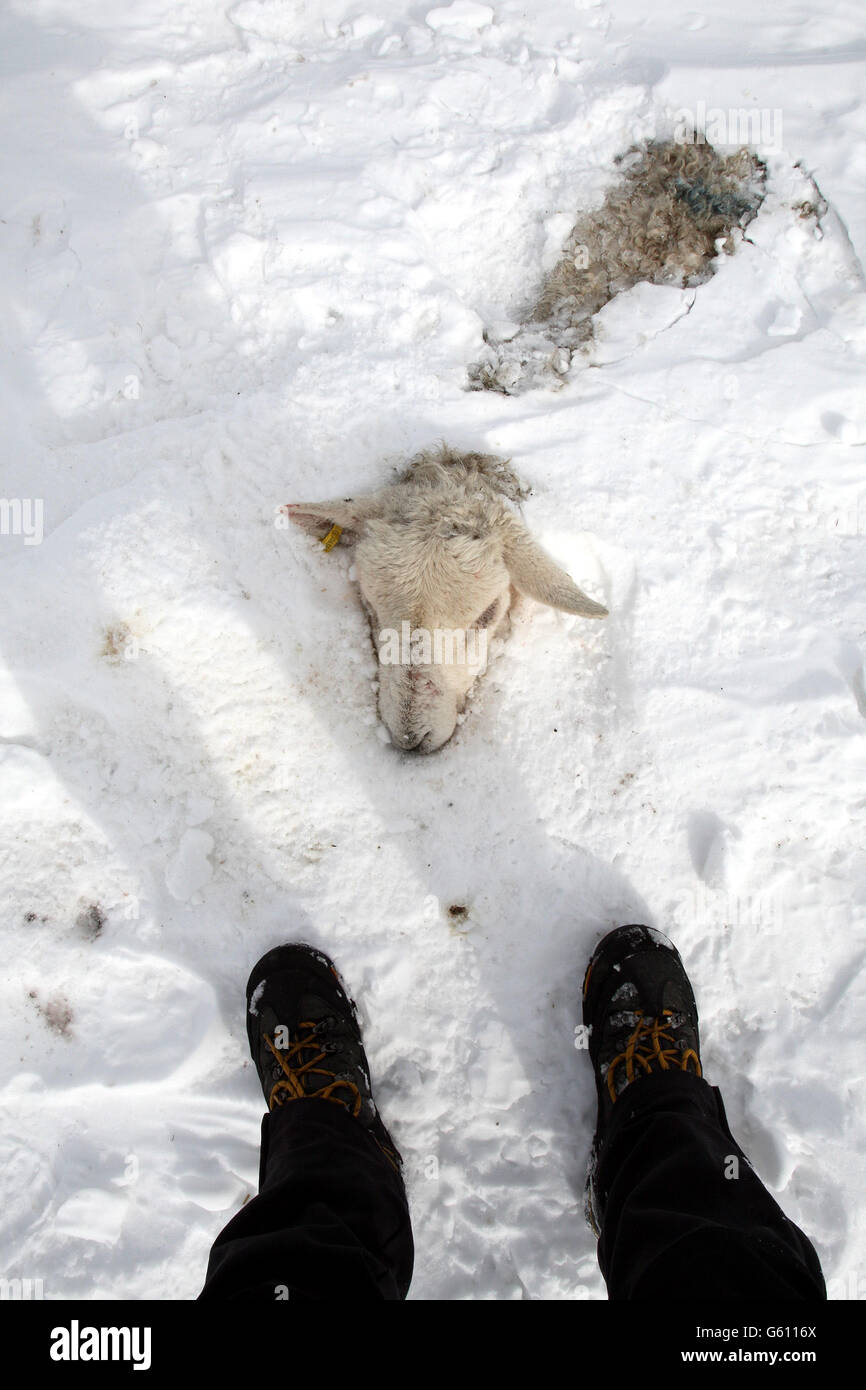 News weather cold ulster hi-res stock photography and images - Alamy