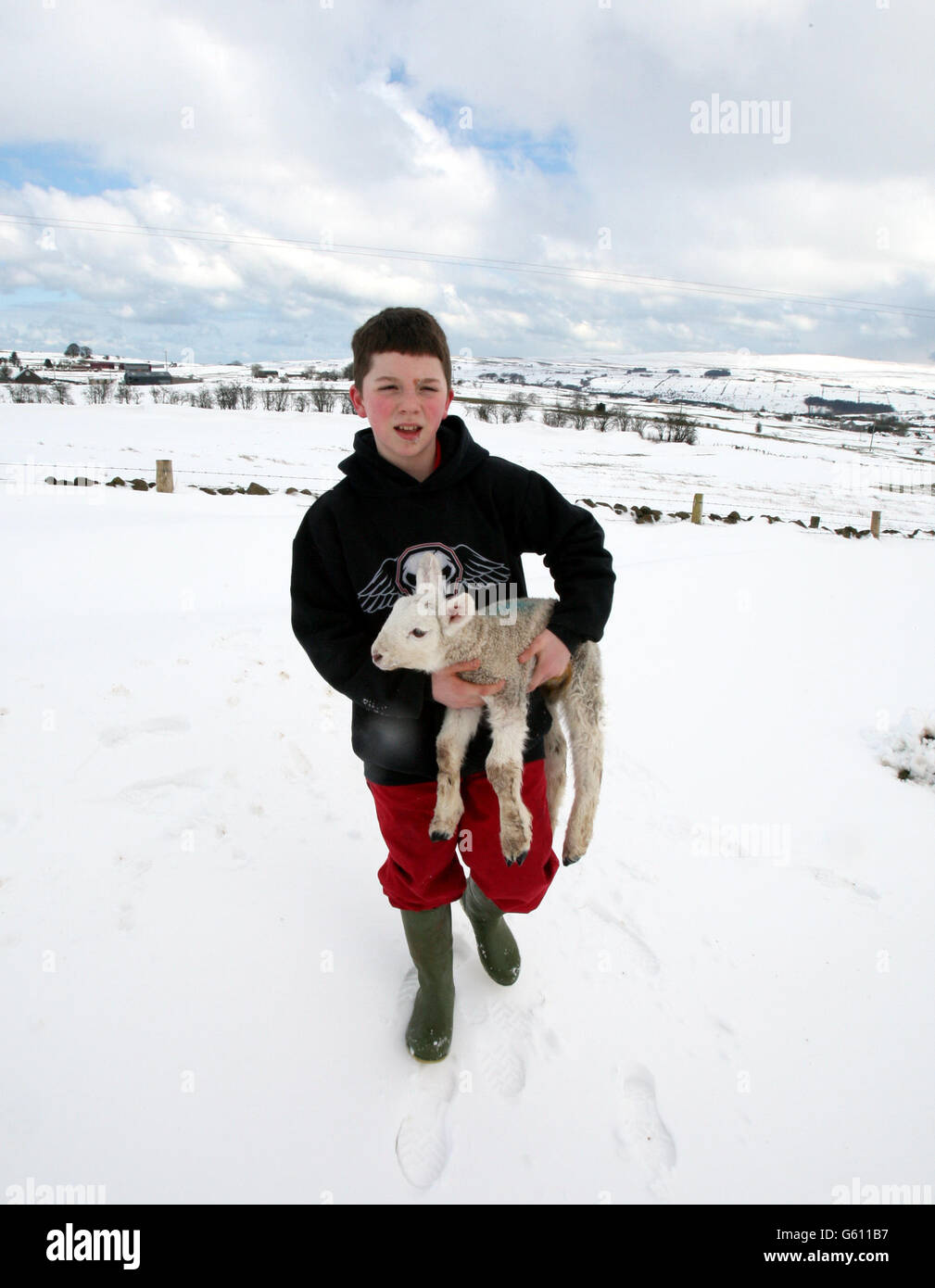 Blake Gifford ,13, with a lamb above the Glens of Antrim as thousands ...