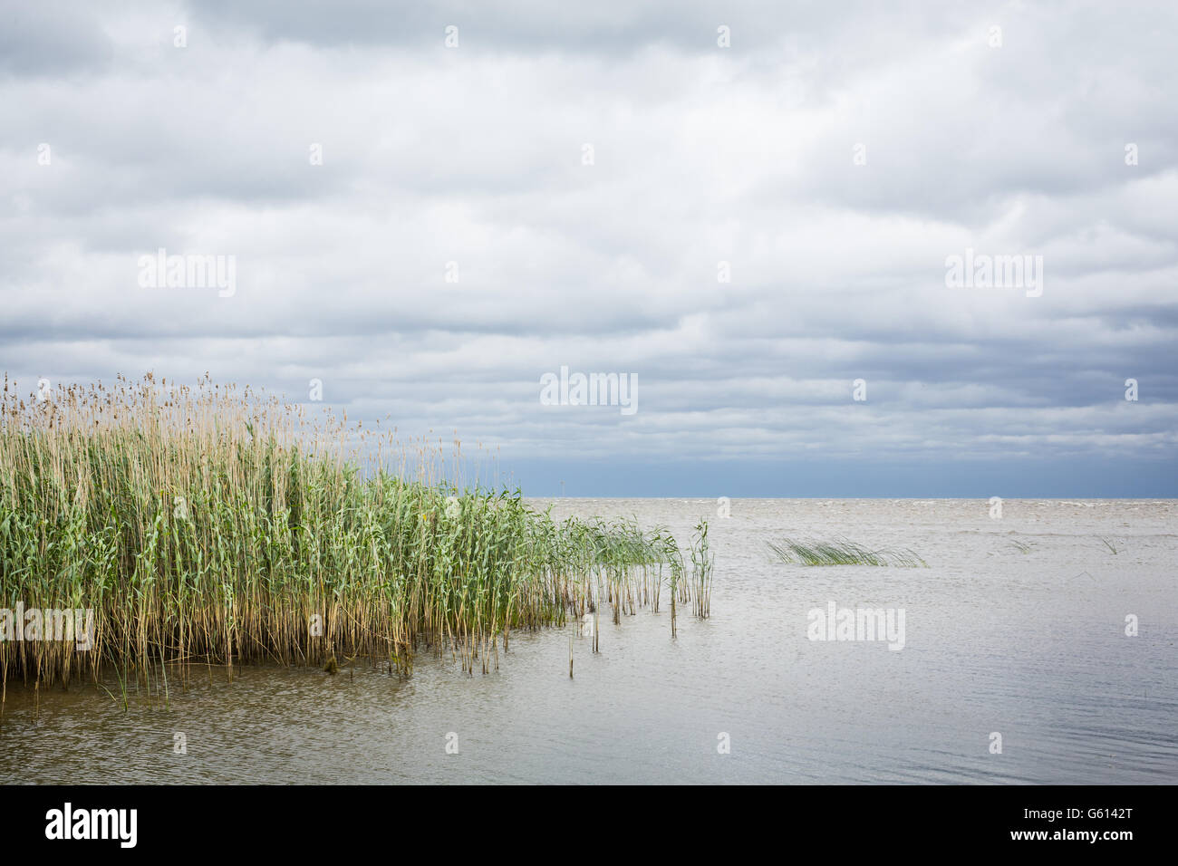 Lake peipsi estonia hi-res stock photography and images - Alamy