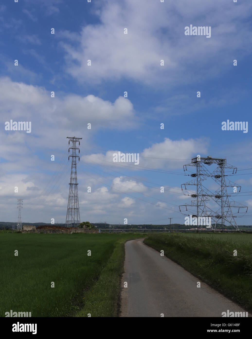 Pylons of the 400kV Forth Crossing and humpbacked bridge over small ...
