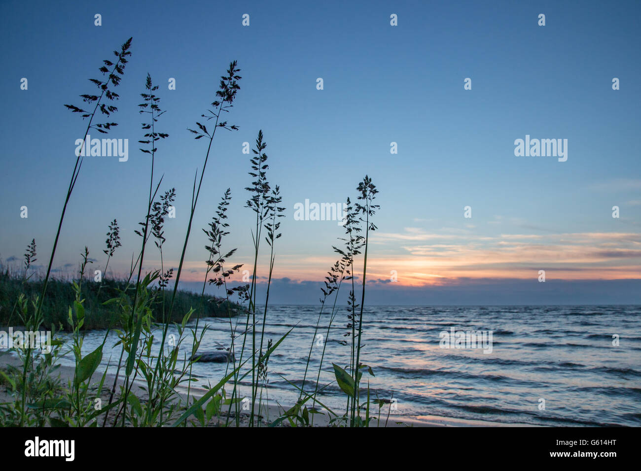 Peipus lake hi-res stock photography and images - Alamy