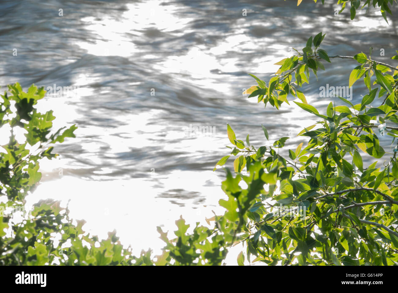 Flowing river water framed by branches and leaves Stock Photo - Alamy