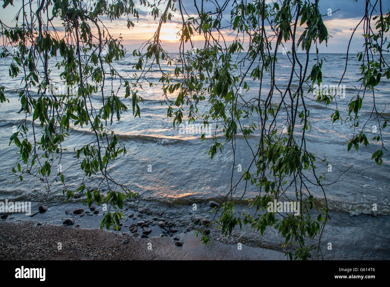 Lake peipus hi-res stock photography and images - Alamy