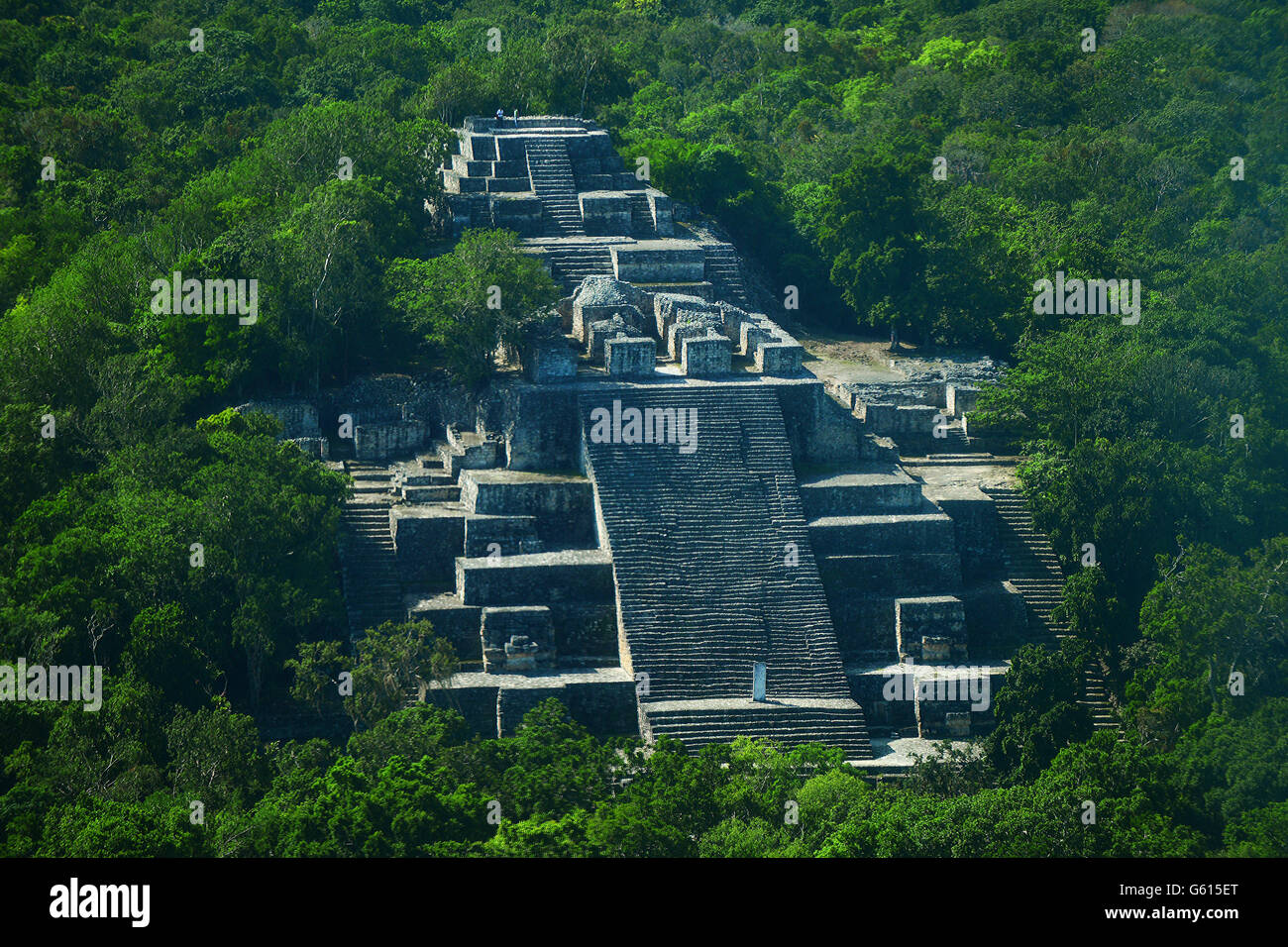 Ruins of the ancient Mayan city of Calakmul Stock Photo - Alamy