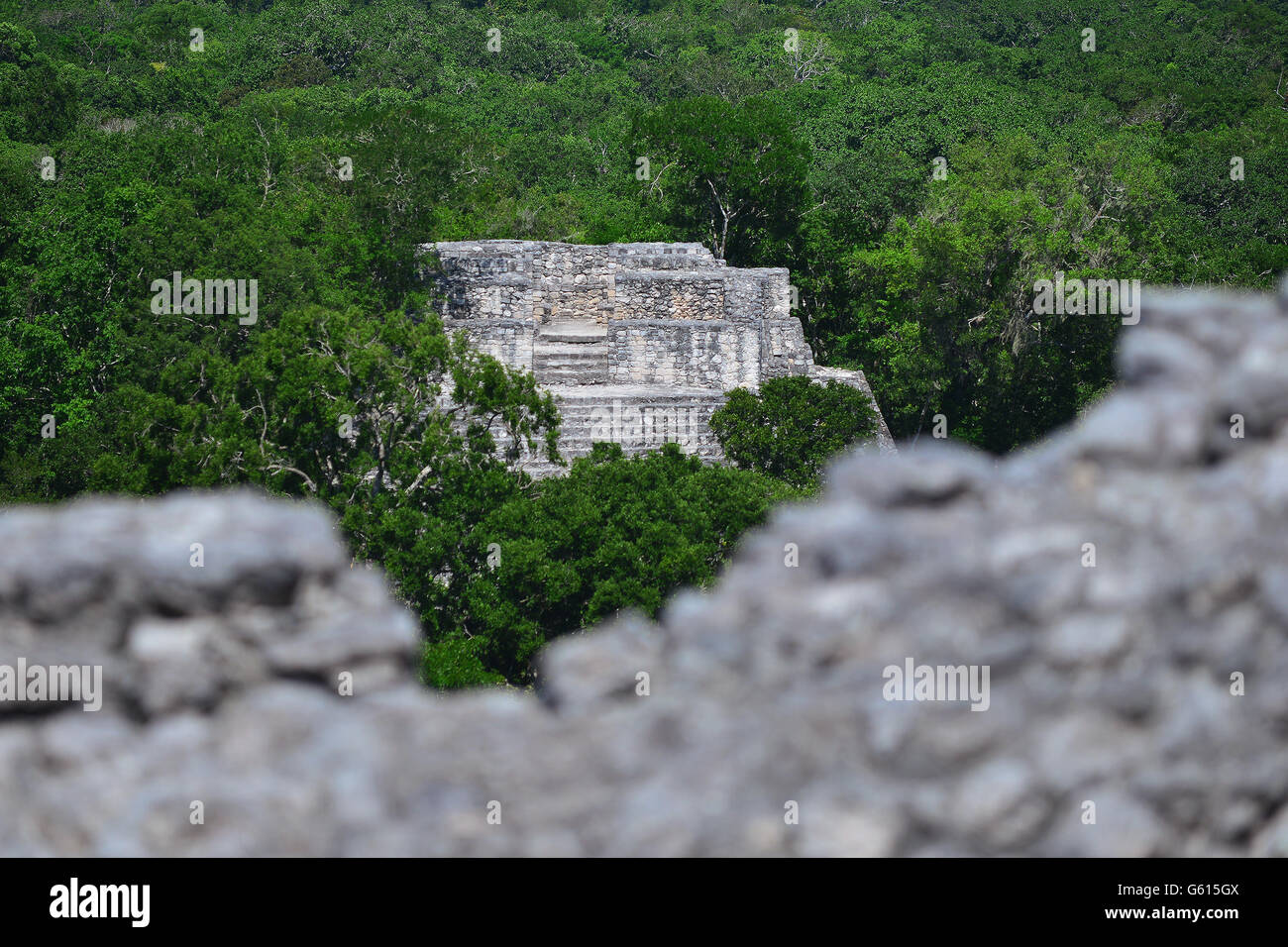 Ruins of the ancient Mayan city of Calakmul Stock Photo - Alamy