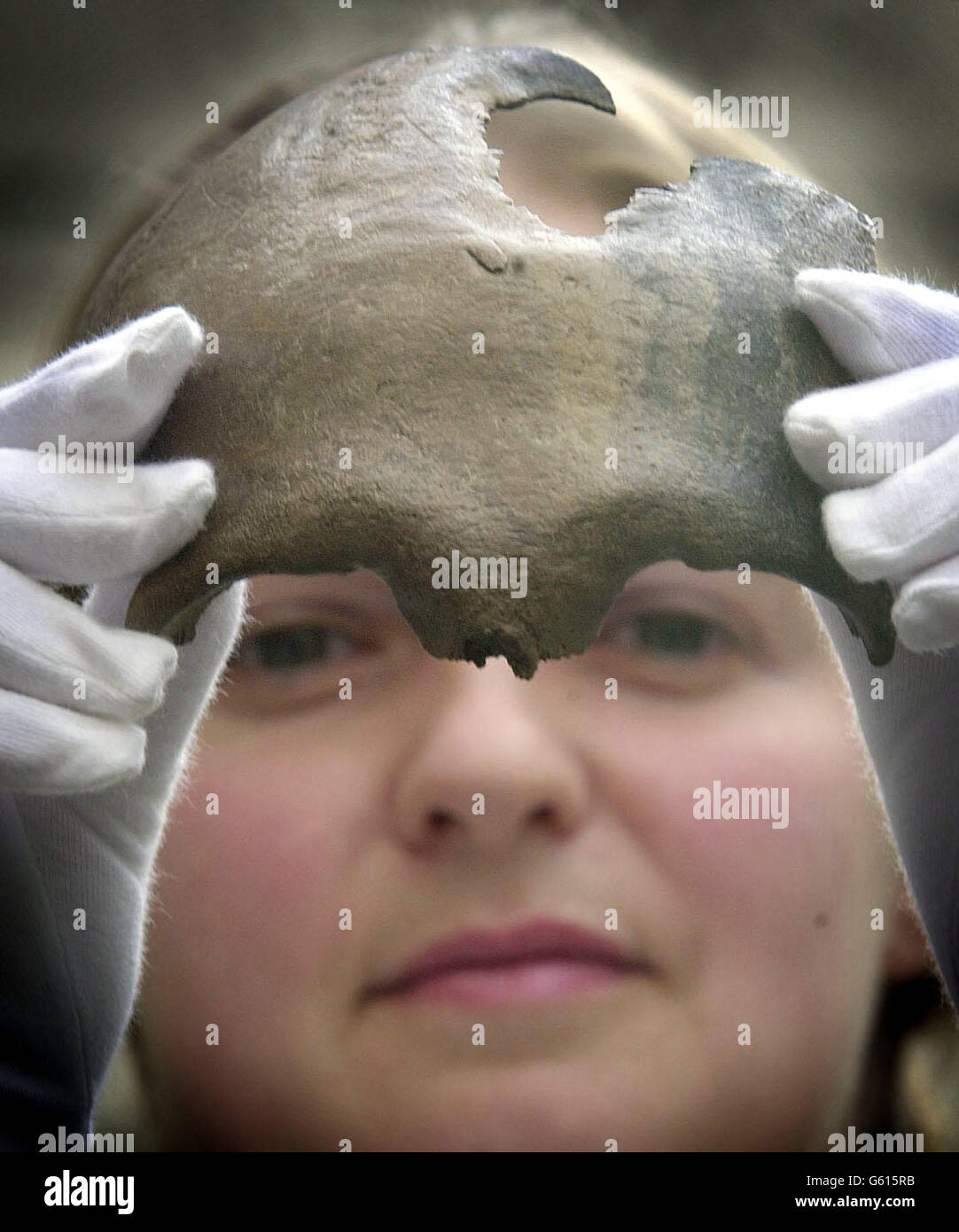 Archaeological adviser english heritage jane sidell holds piece mans ...