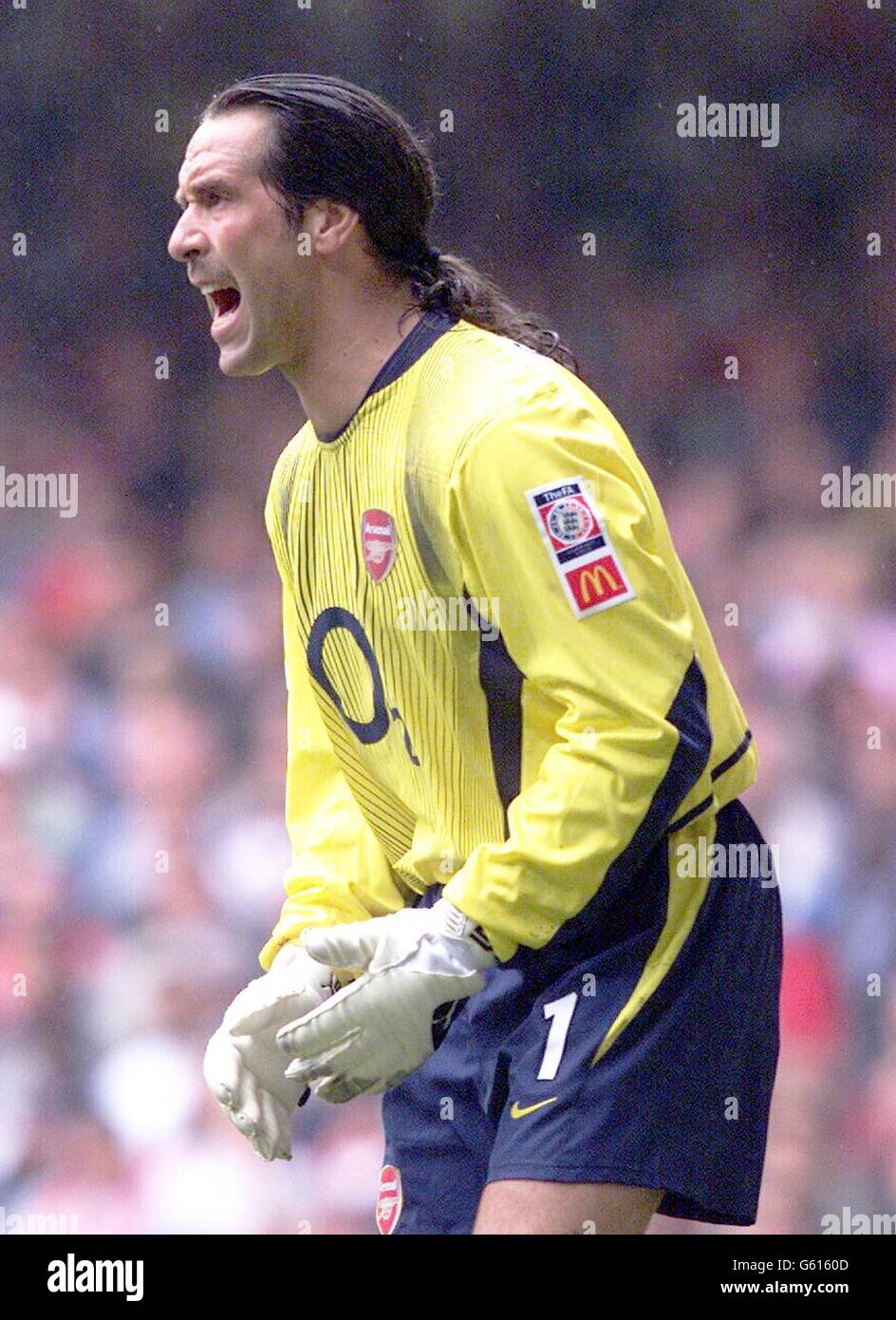 Arsenal goalkeeper David Seaman in action during the FA Community ...