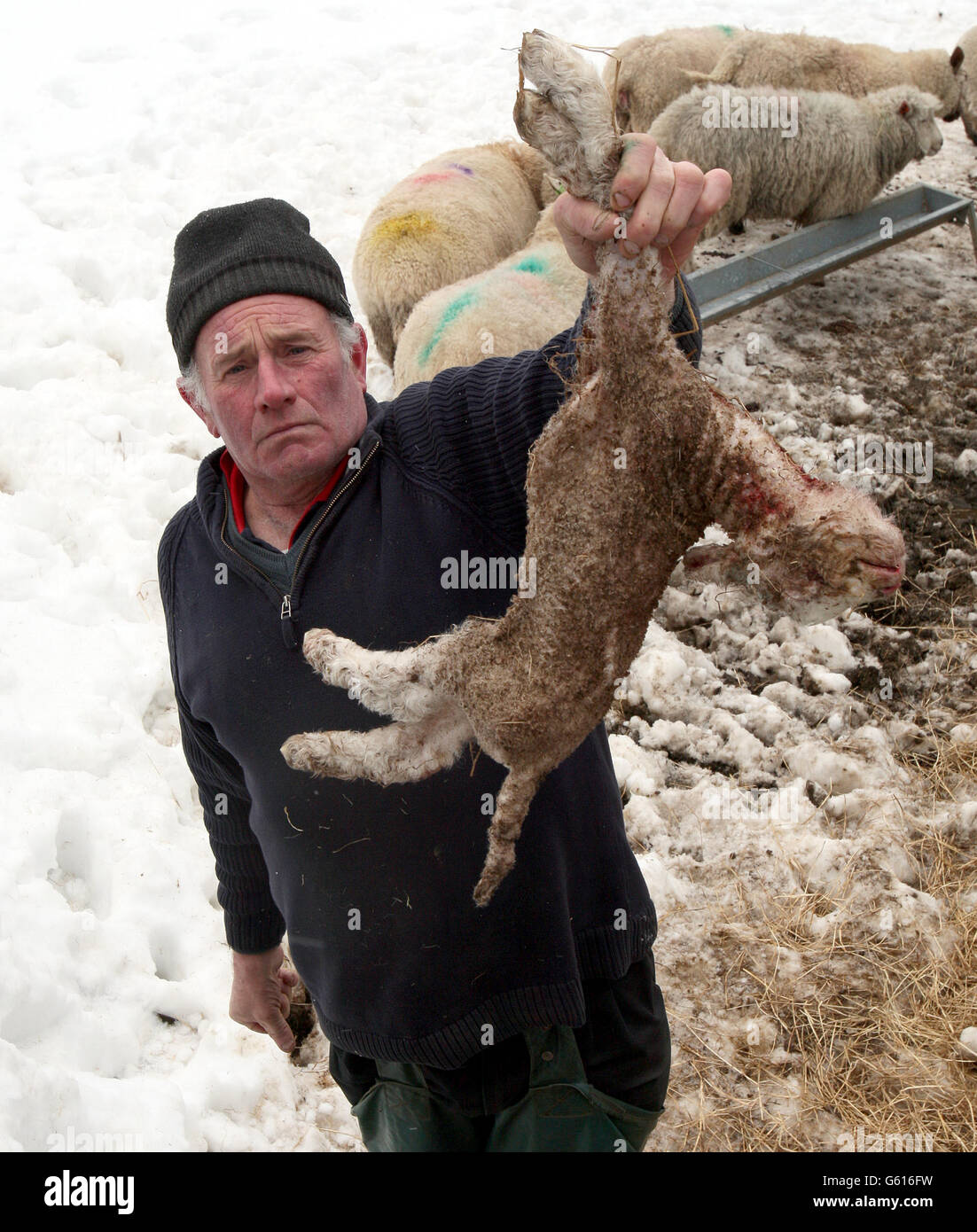 Spring weather March 25 Stock Photo - Alamy