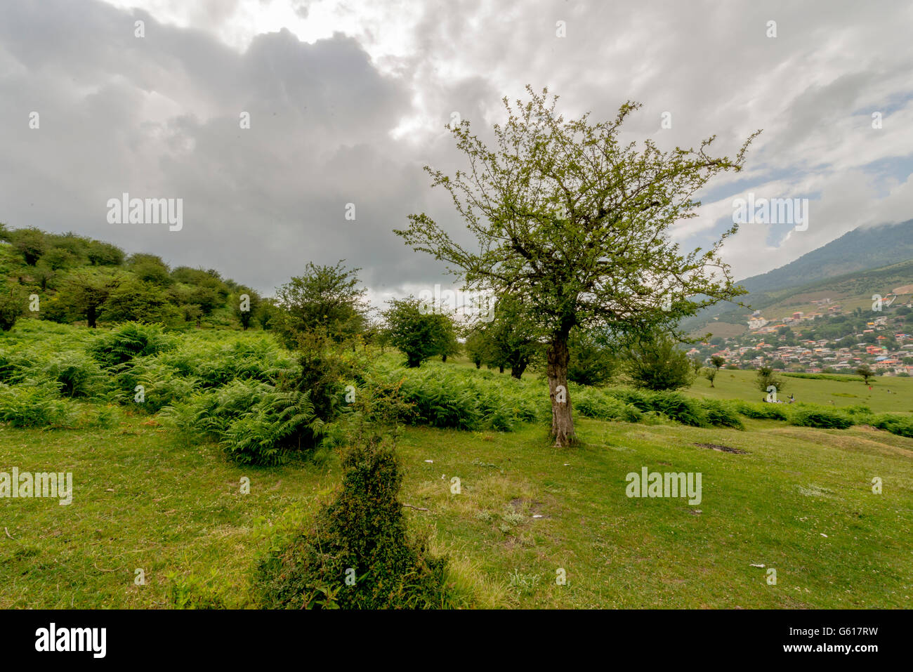 Chal chal hi-res stock photography and images - Alamy