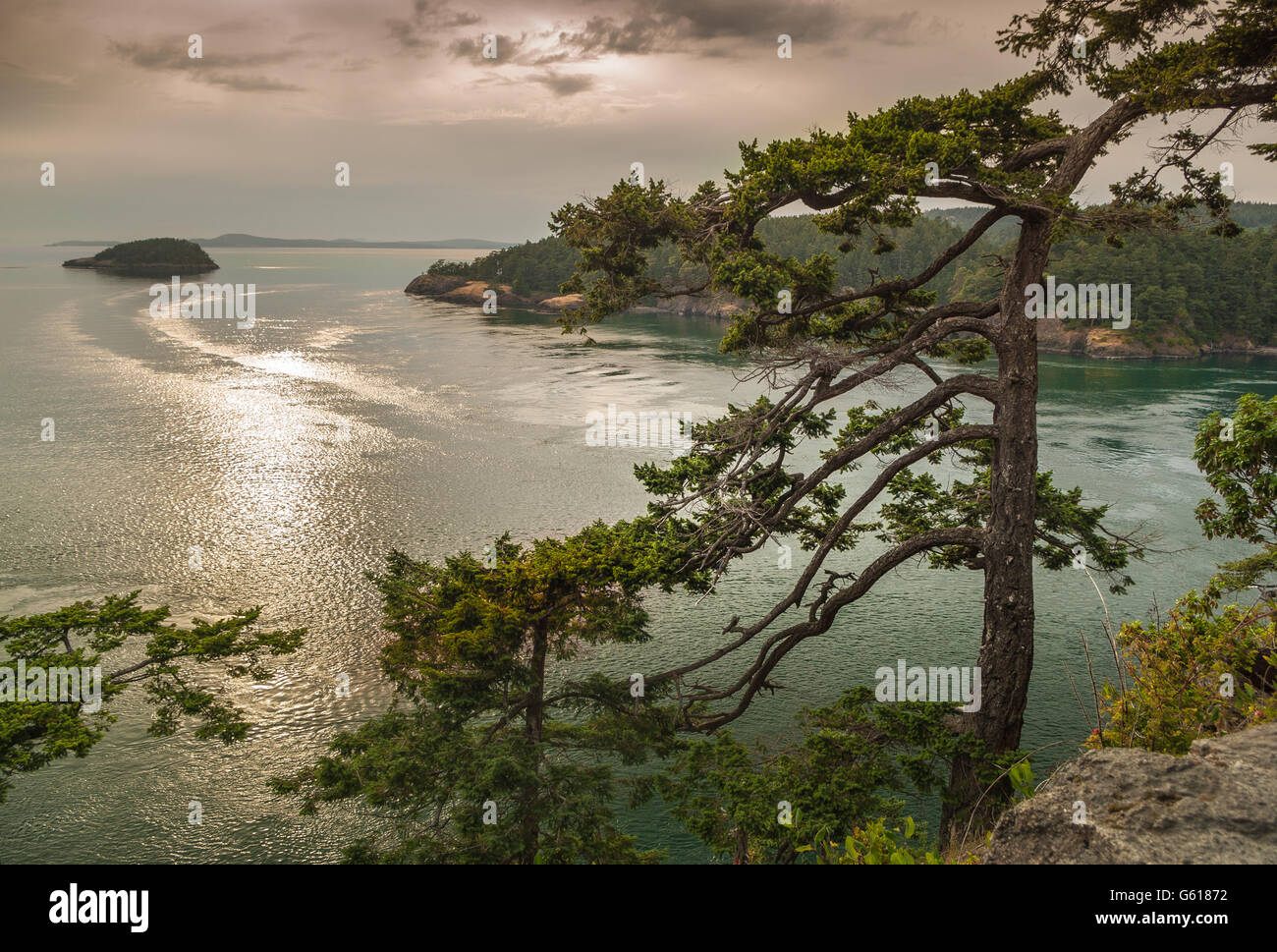 a sea landscape near Seattle Stock Photo - Alamy
