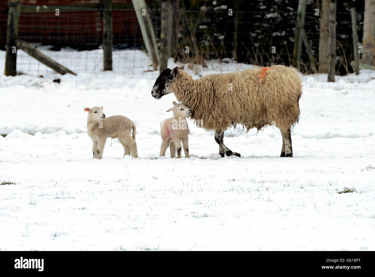 Spring weather March 28 Stock Photo - Alamy