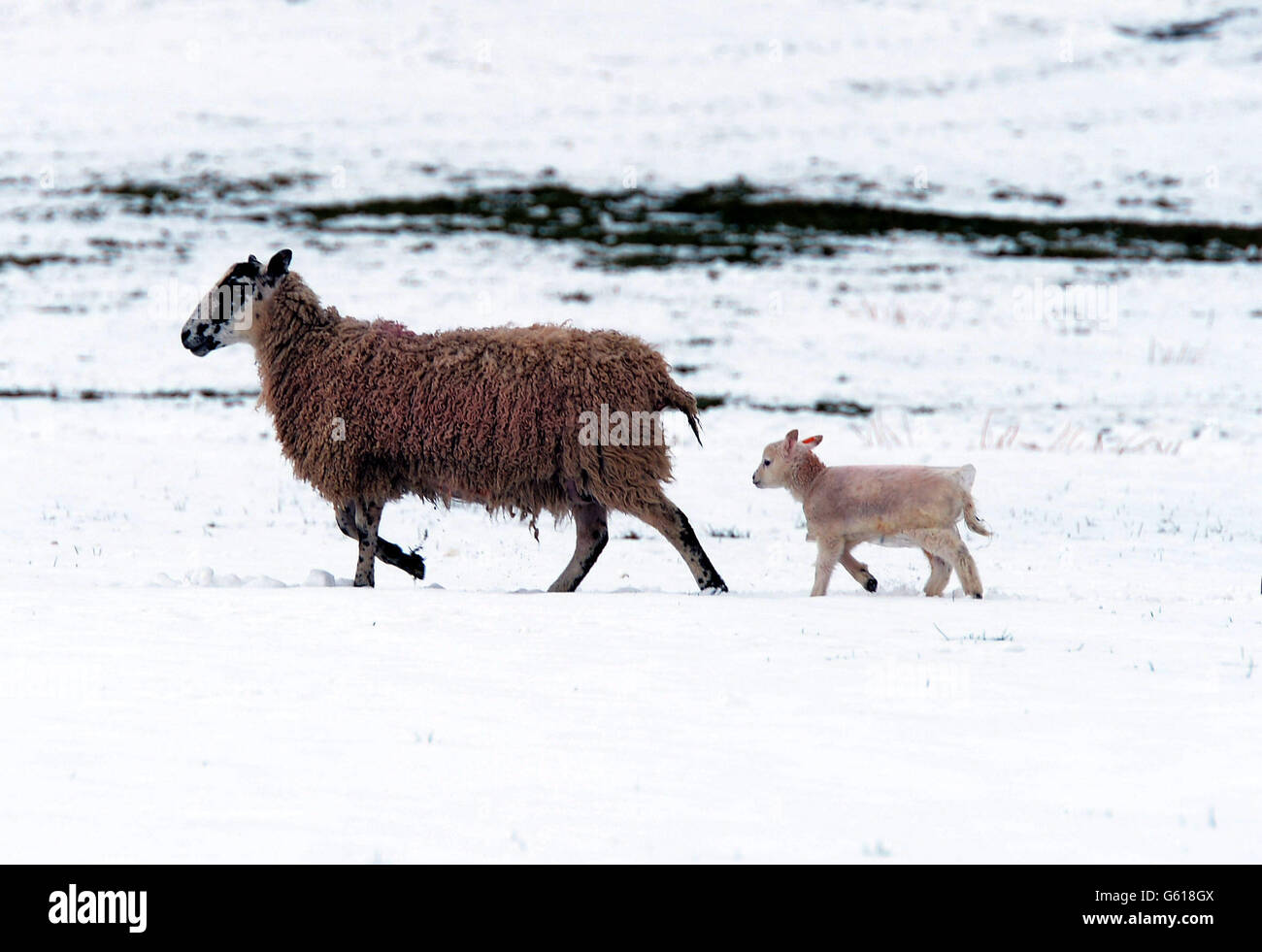 Spring weather March 28 Stock Photo - Alamy