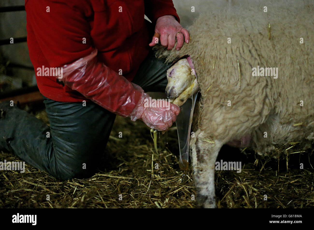 Season marie village hi-res stock photography and images - Alamy