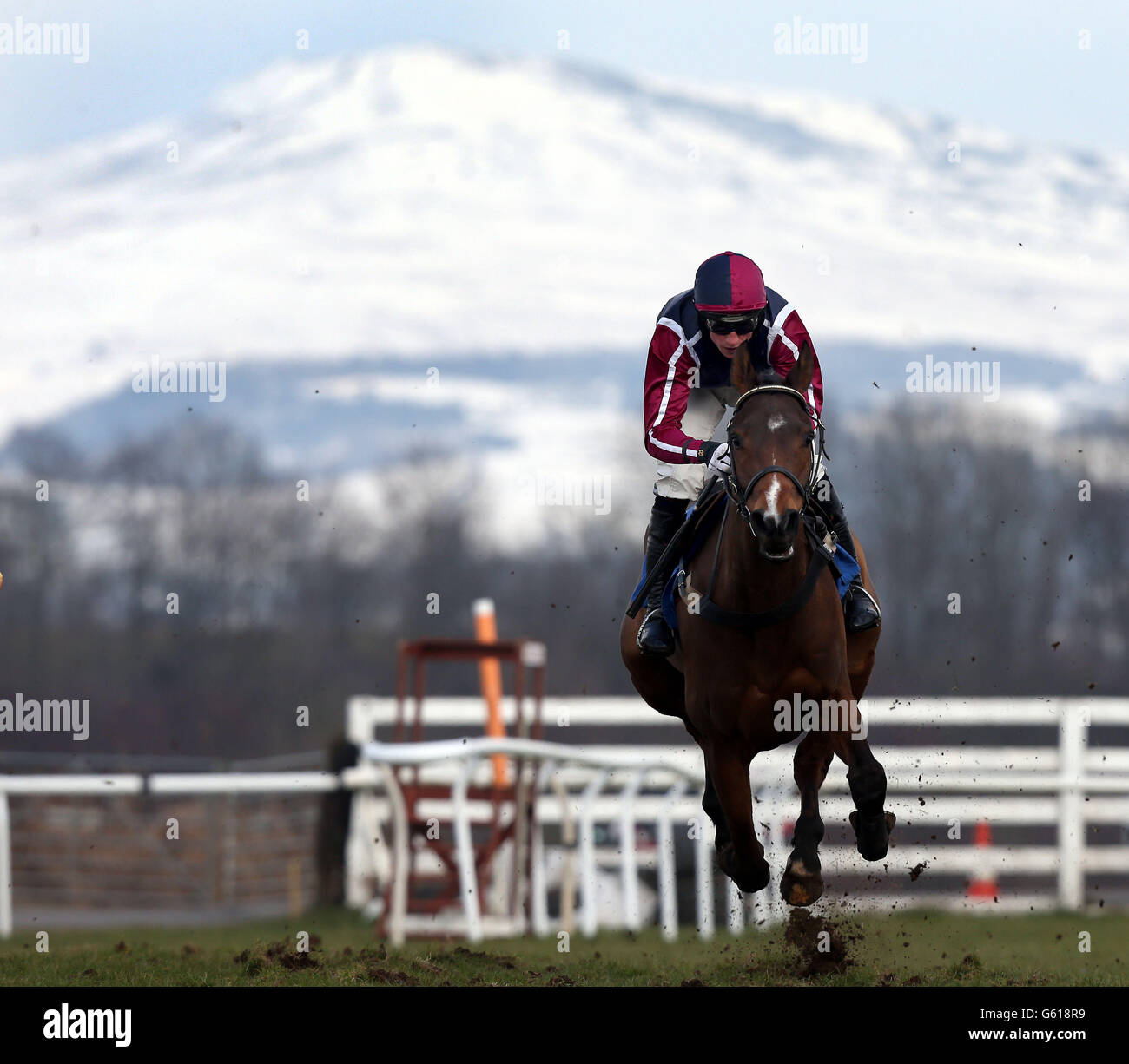 Skelton ltd hi-res stock photography and images - Alamy