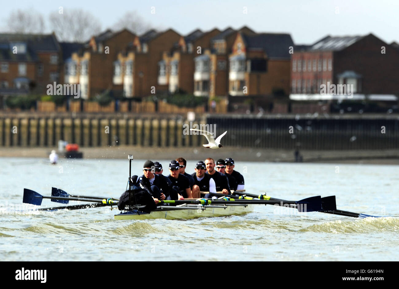 Oxford cambridge boat race preview hi-res stock photography and images ...