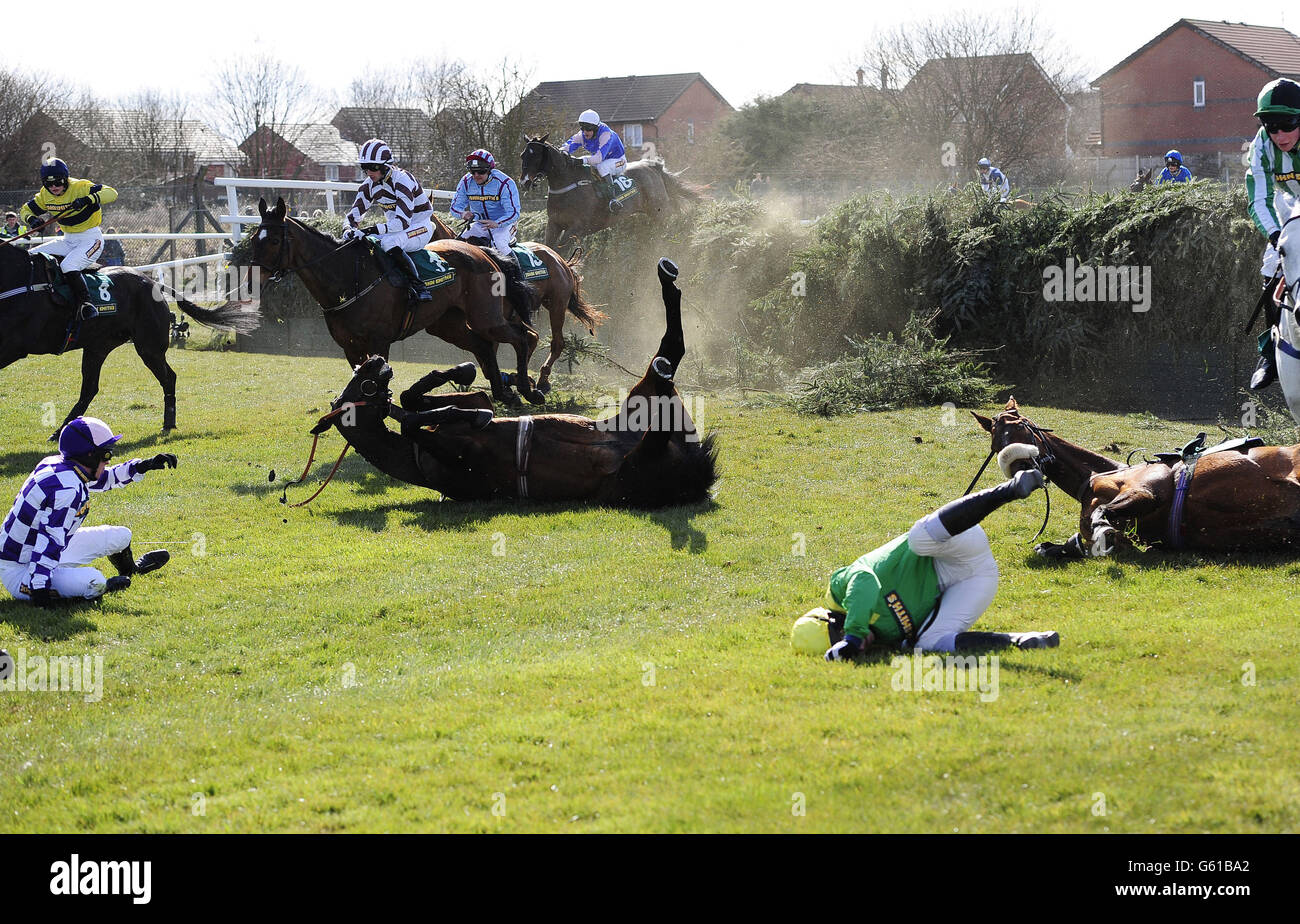 Bold Addition and Mr Steven Clements (left) and Silverburn and Mr J ...