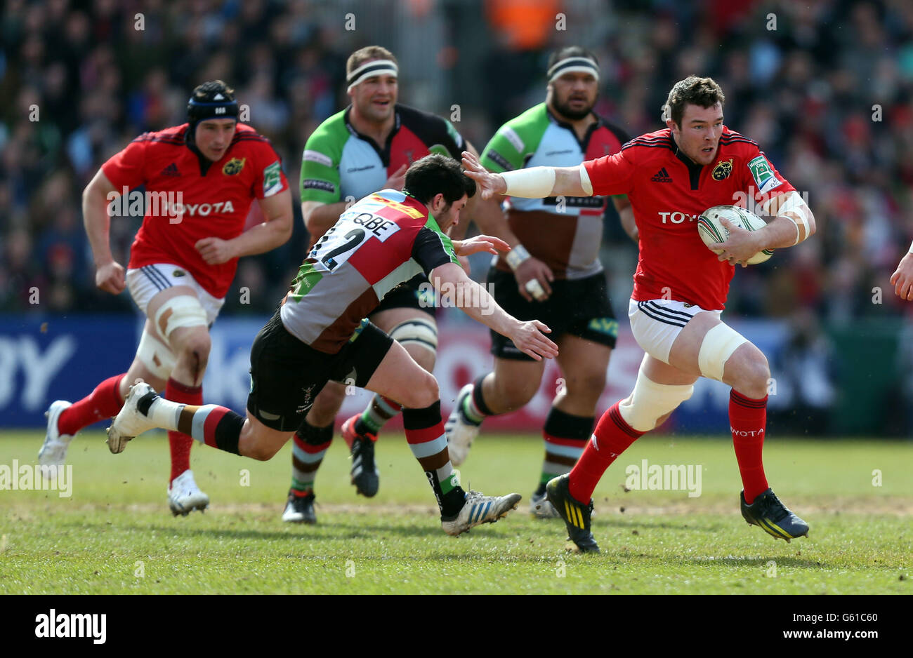 Peter o'mahoney munster hi-res stock photography and images - Alamy