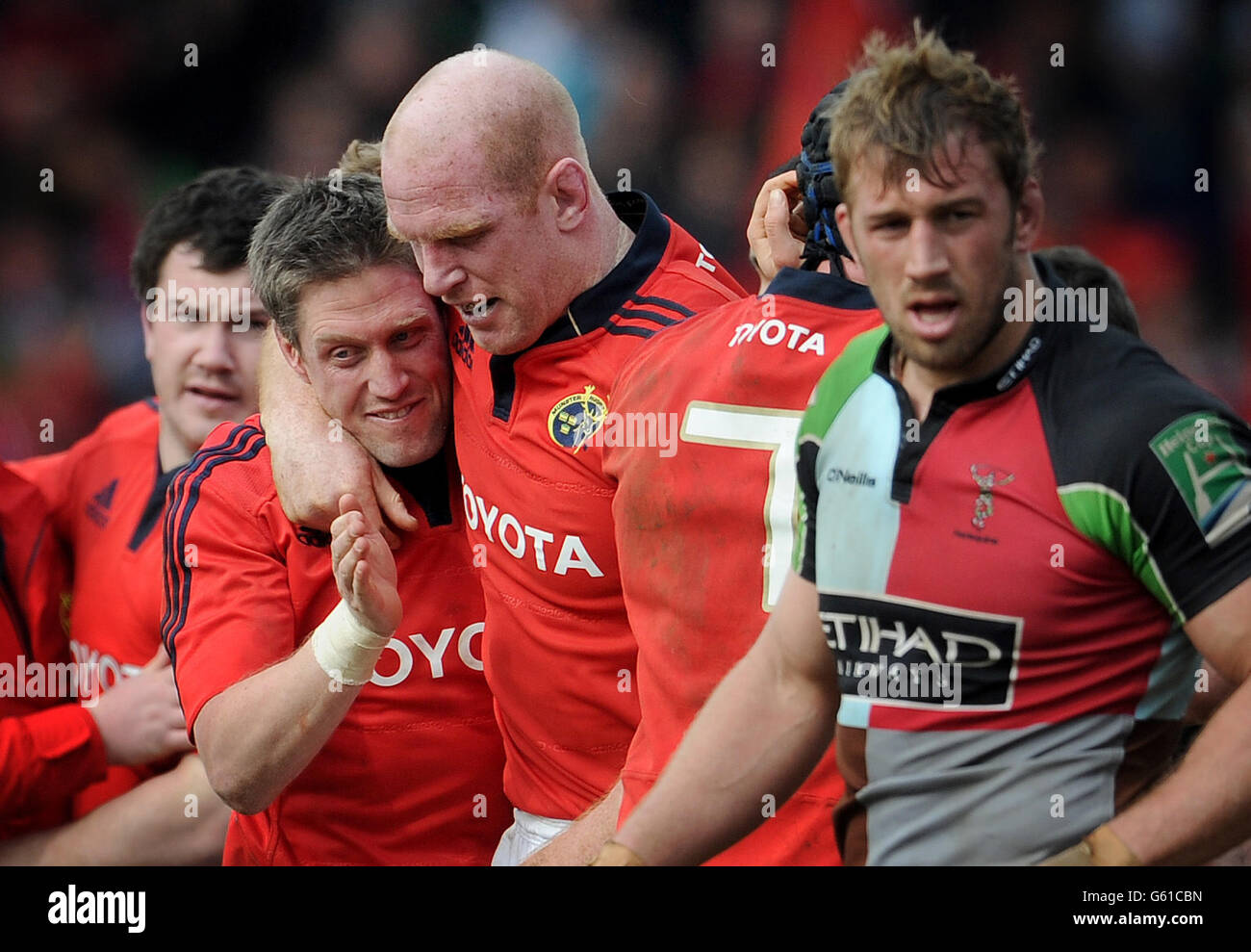 Paul o'connell ronan o'gara hi-res stock photography and images - Alamy