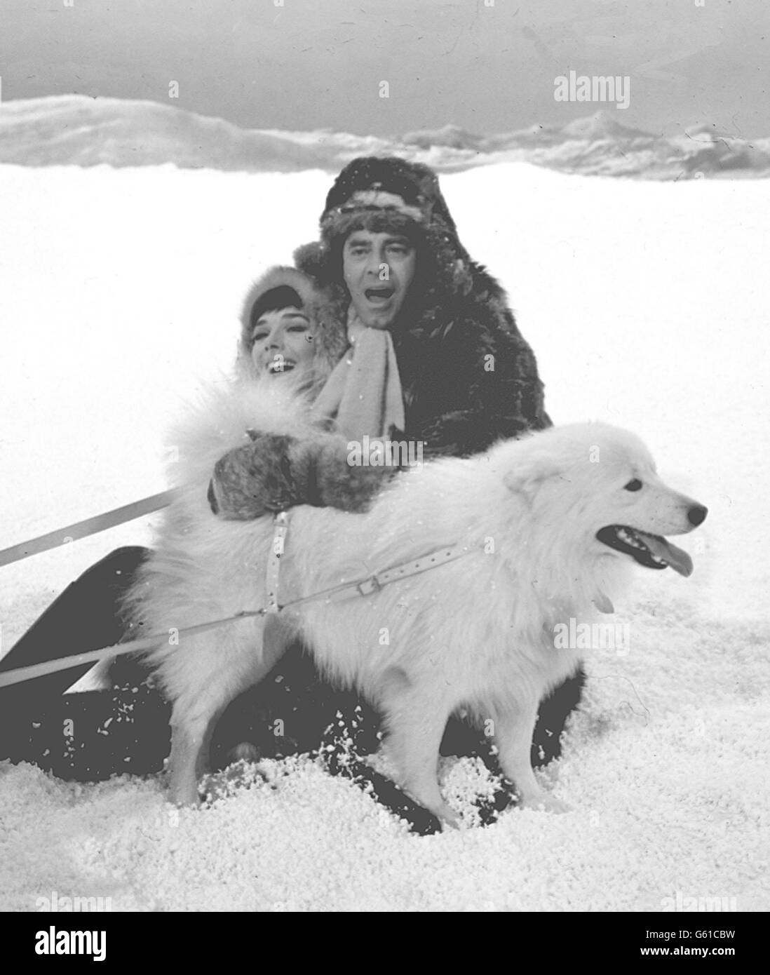 American comedian jerry lewis and his british hi-res stock photography ...