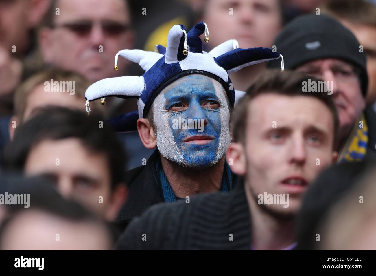 Court Jester Face Paint