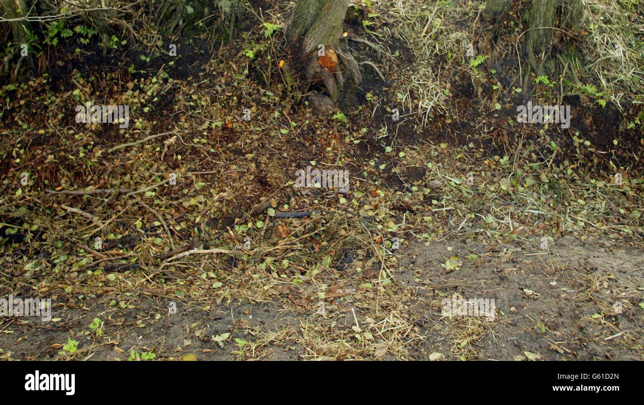 Holly And Jessica Body Site High Resolution Stock Photography and ...