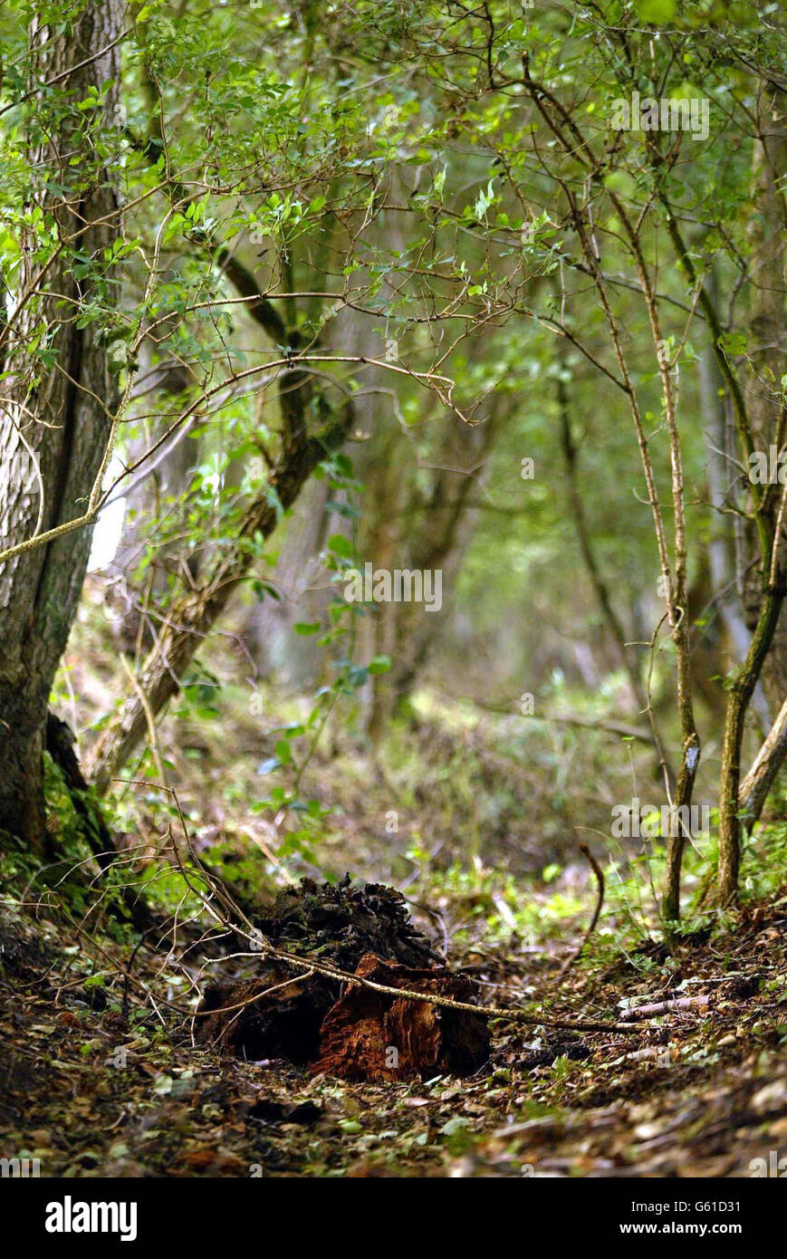 Holly and jessica body site hi-res stock photography and images - Alamy