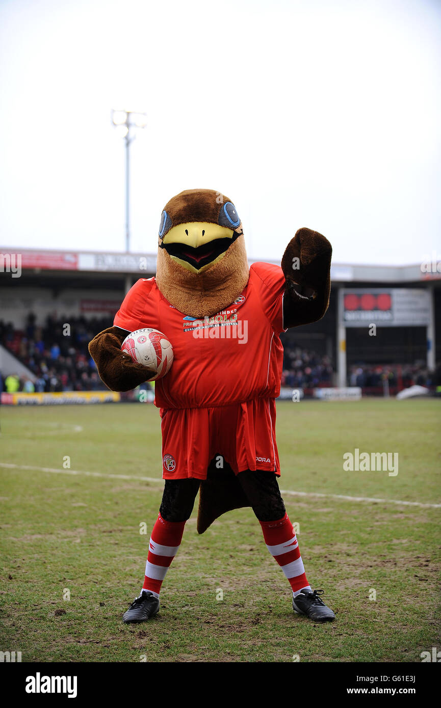 Walsall mascot swifty the swift hi-res stock photography and images - Alamy