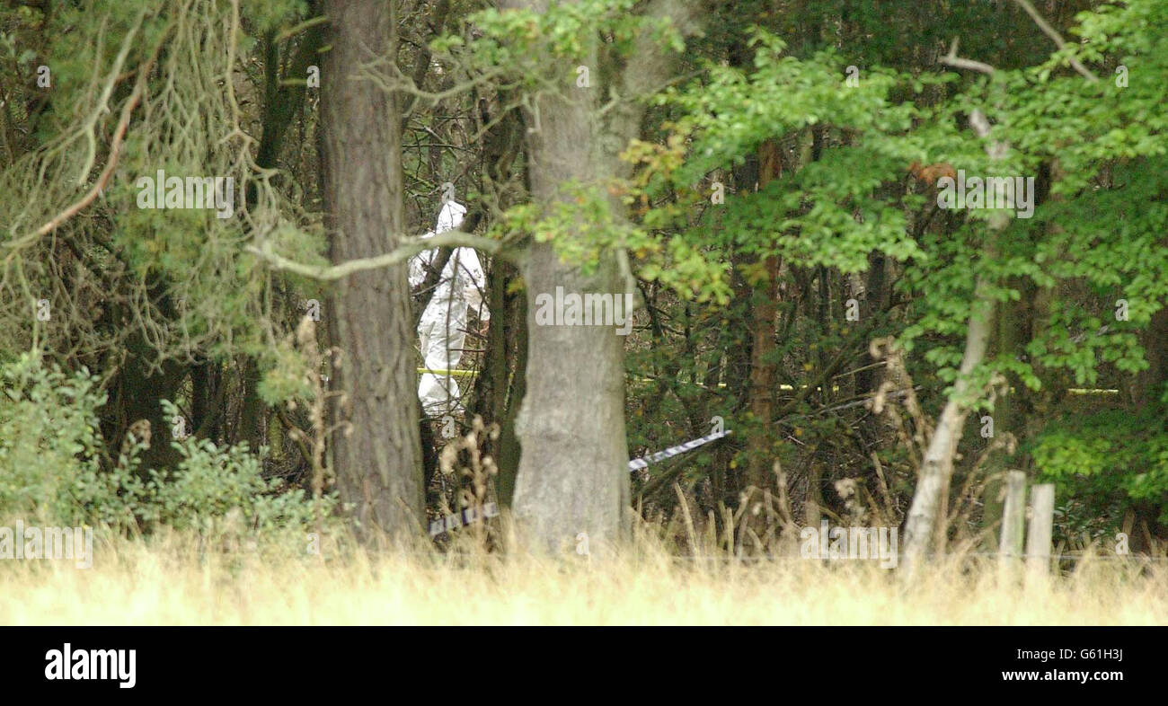 Remains Found in Yateley Heath Woods Stock Photo - Alamy