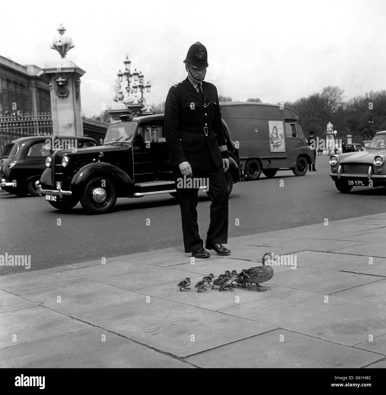 Cars on road under Black and White Stock Photos & Images - Alamy