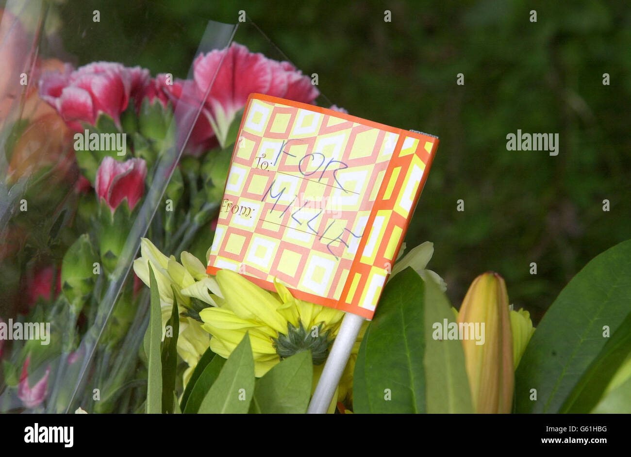 Milly dowler photo hi-res stock photography and images - Alamy