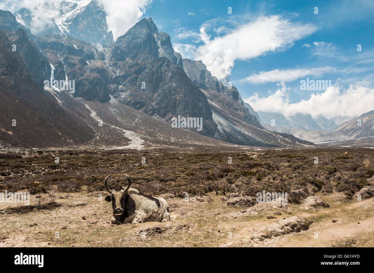 Nice Panoramic view of Nepal himalayas Stock Photo - Alamy