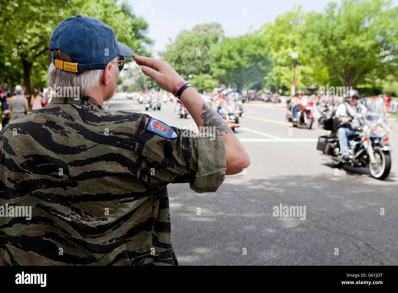 Washington, DC USA, May 29th, 2016: Supporter saluting during Memorial ...