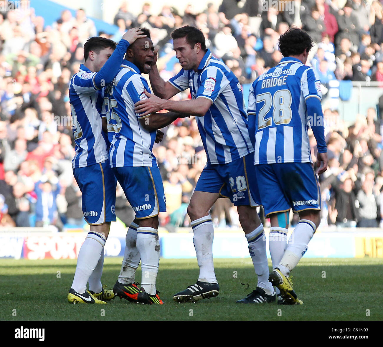 See pa story soccer brighton photo credit should read hi-res stock ...