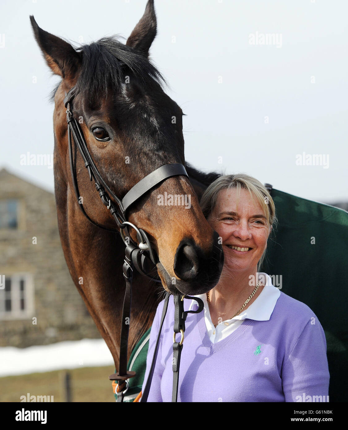 Sue smith horse hi-res stock photography and images - Alamy