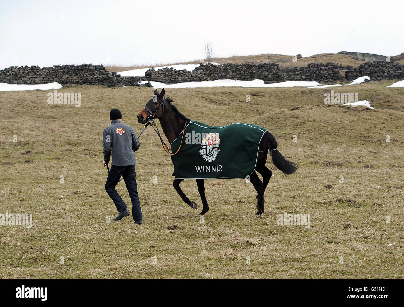 Horse Racing - The 2013 John Smith's Grand National - Winners Photocall ...