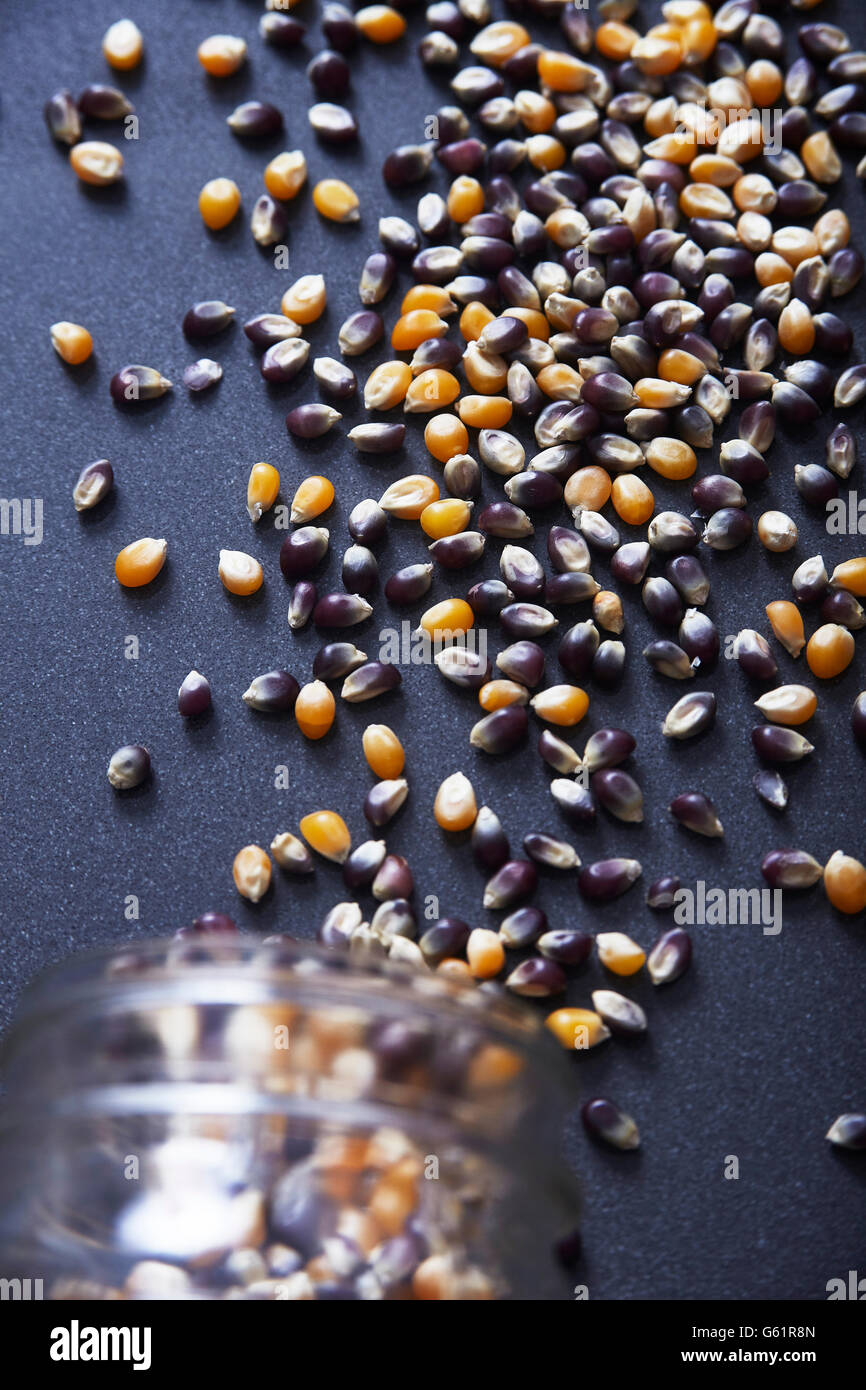 Corn seeds hi-res stock photography and images - Alamy