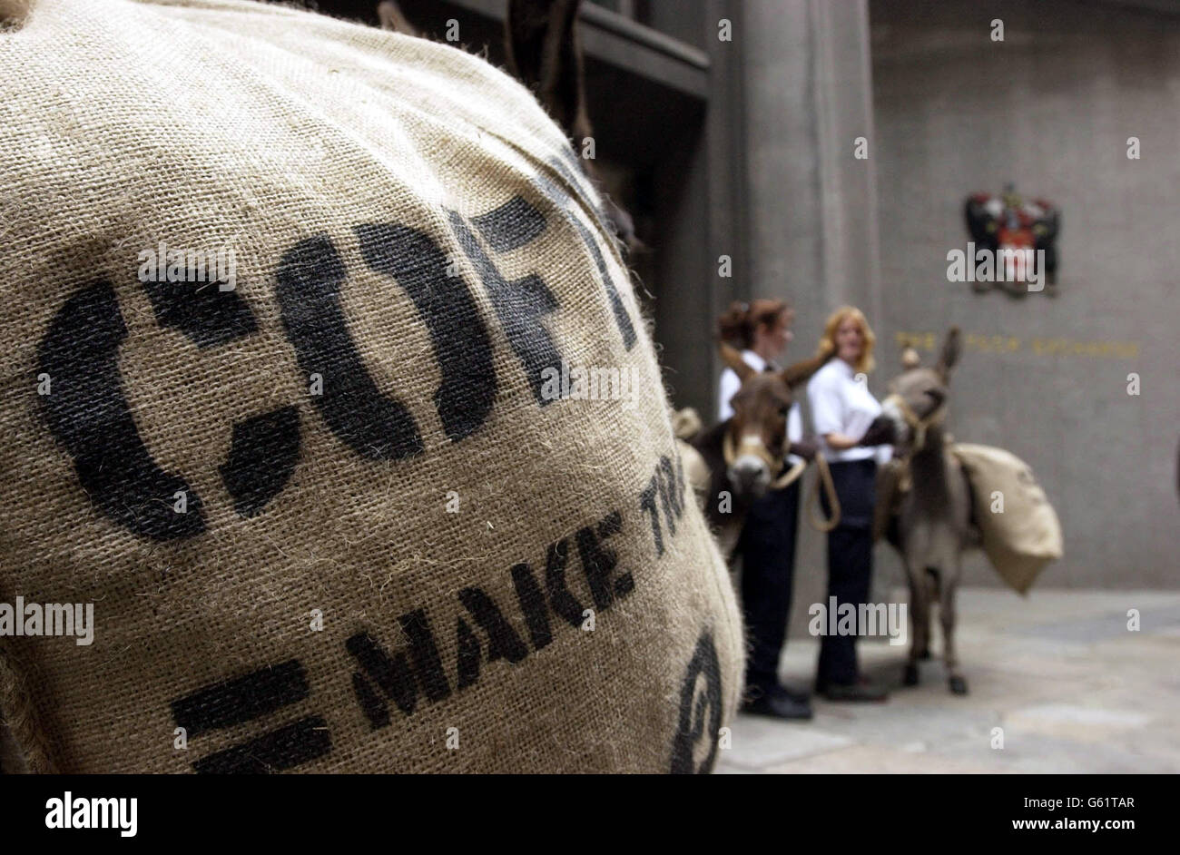 Donkeys laden with sacks of coffee are paraded outside the Stock ...