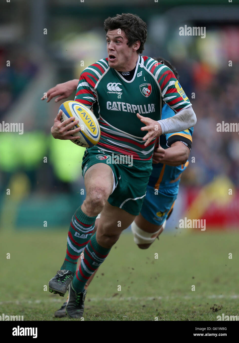 Anthony allen tigers hi-res stock photography and images - Alamy