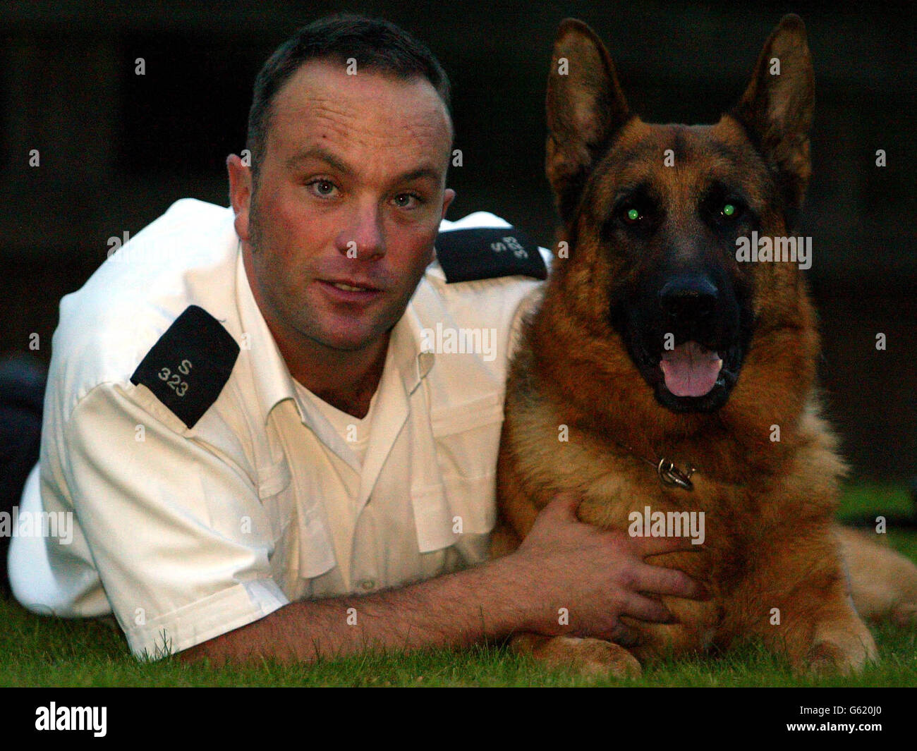 Police dog bravery Stock Photo - Alamy