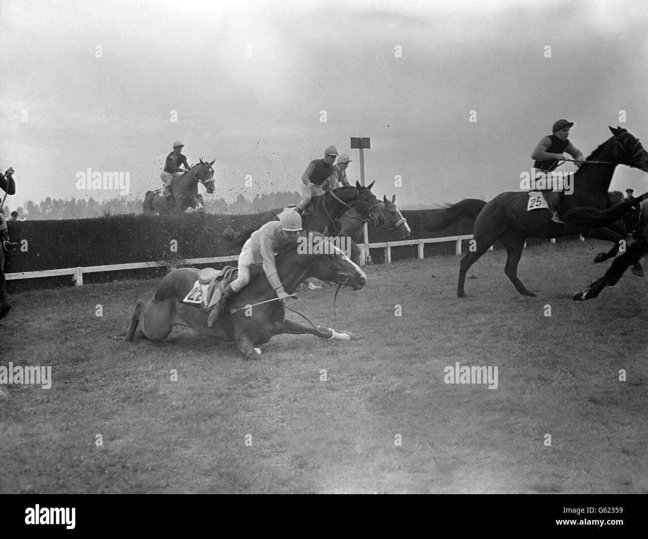 Jockey falling hedge horse racing hi-res stock photography and images ...