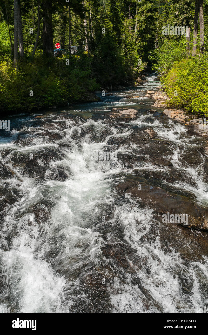 White water over rapids on its way to Narada Falls in Mount Rainier ...