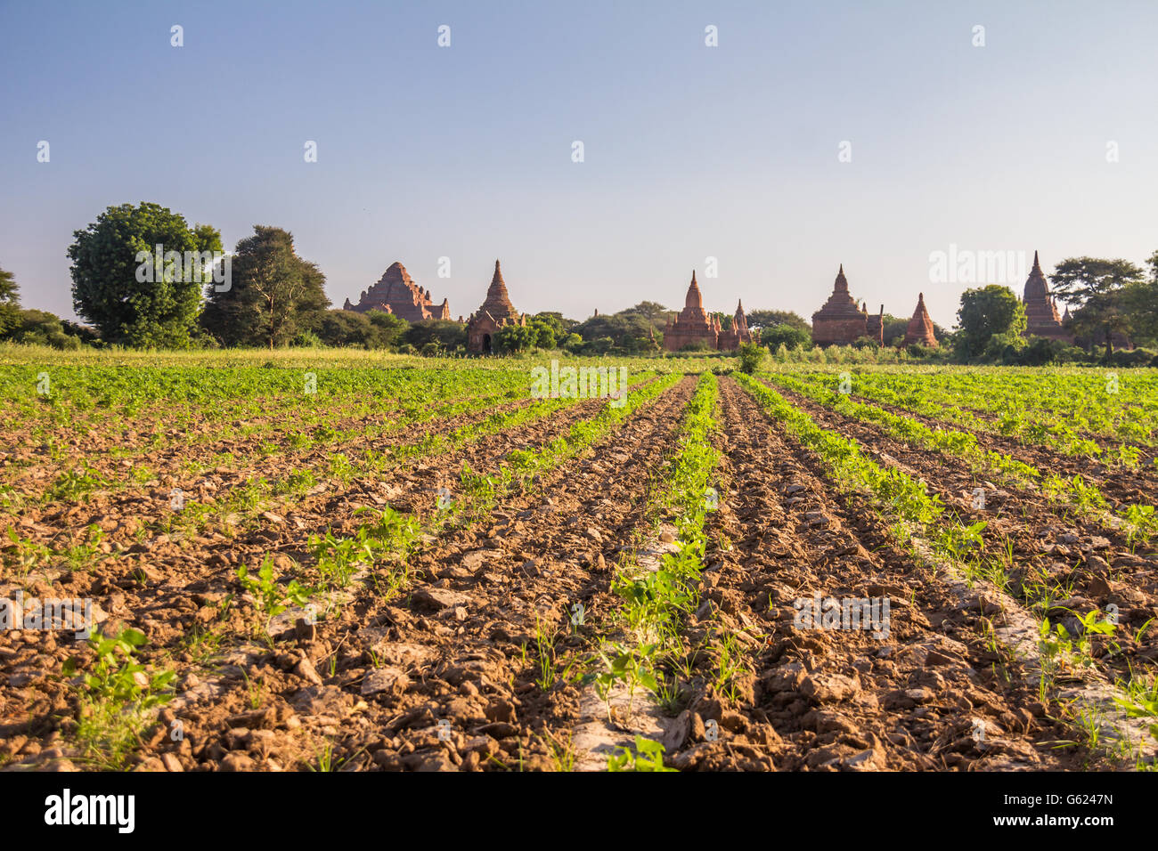 Farms farm hi-res stock photography and images - Alamy
