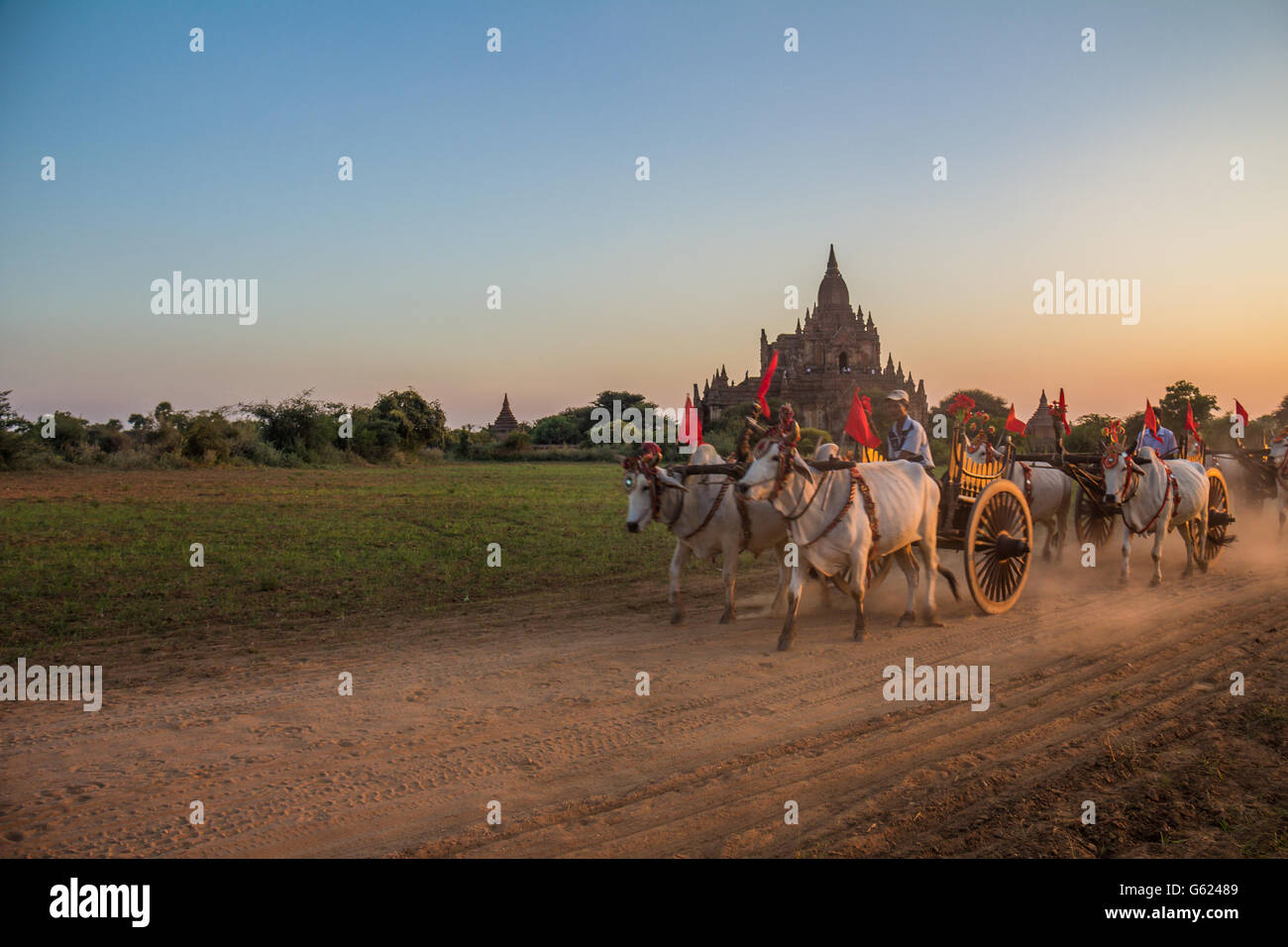 Cow carts in Bagan Burma Stock Photo - Alamy