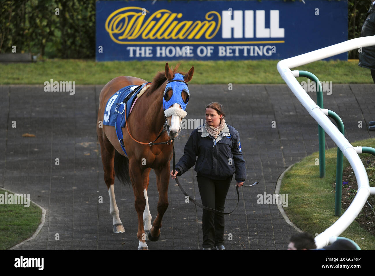 William hill signage around doncaster racecourse hi-res stock ...