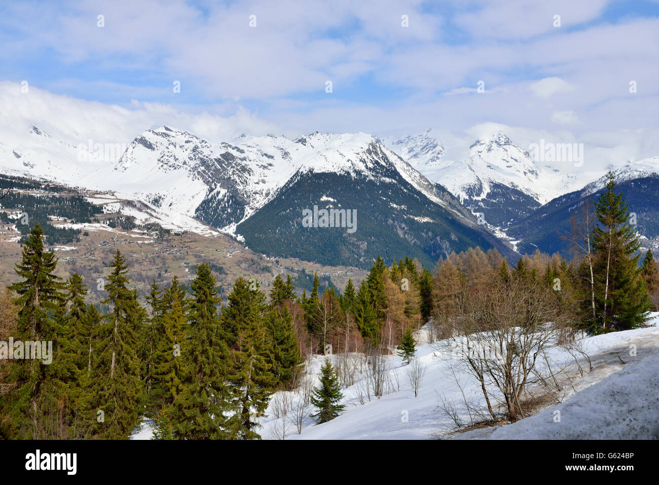 Pine trees in the french alps hi-res stock photography and images - Alamy