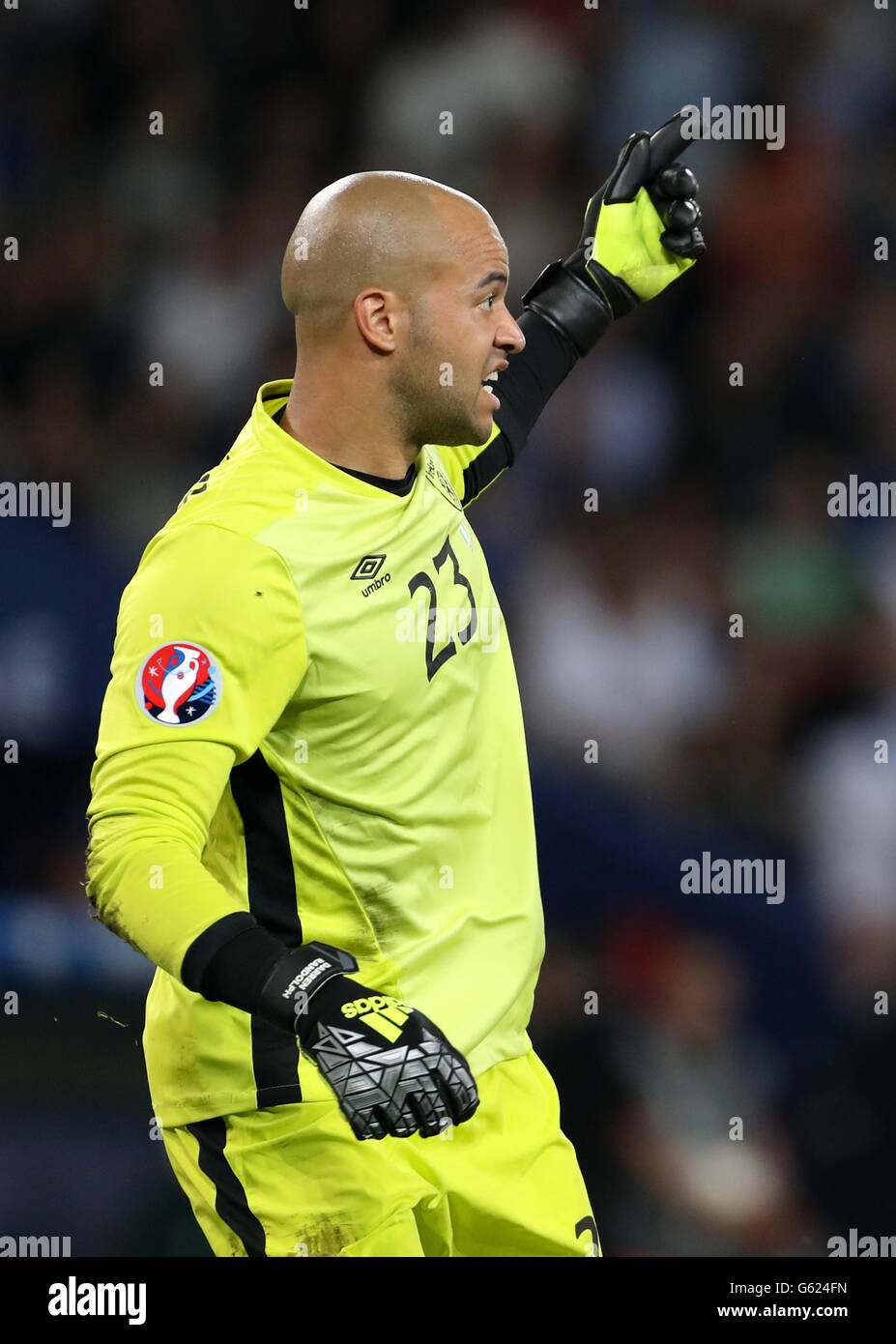 Republic of Ireland goalkeeper Darren Randolph during the Euro 2016 ...
