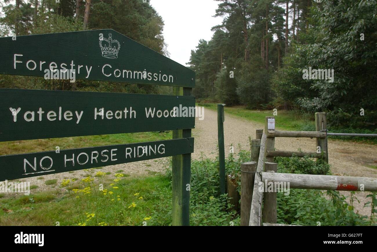 Police continue their investigation in yateley heath forest hi-res ...